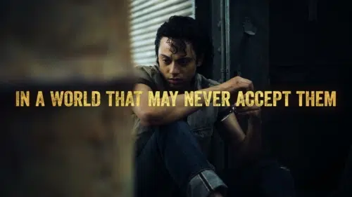 The Outsiders: A New Musical | Official Website